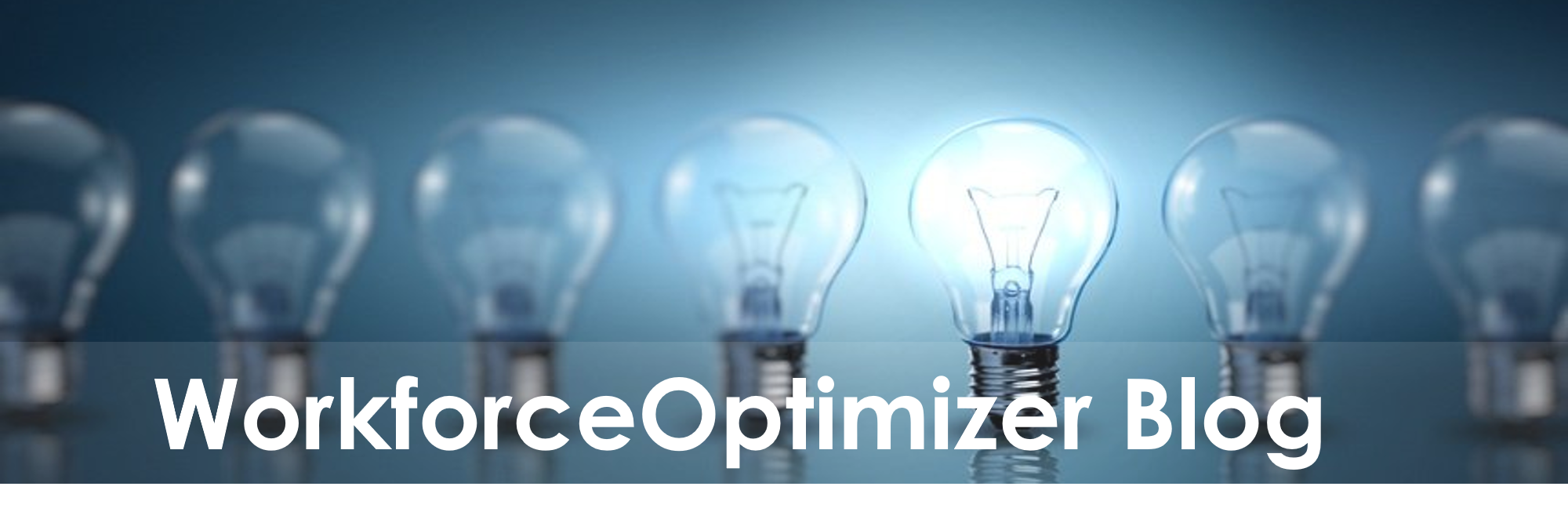 What is Workforce Optimization all about?